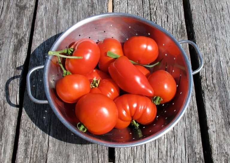 Recipes | Robin Ellis
